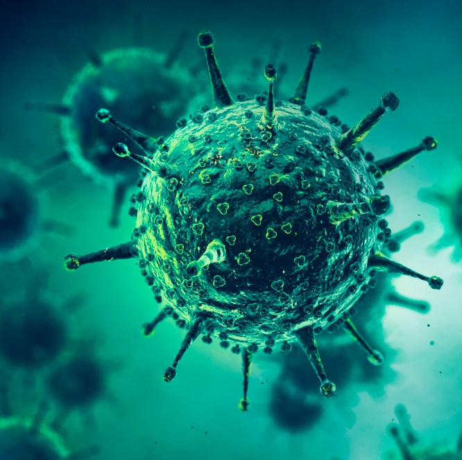 Enfermedades infecciosas - MSD | Peru